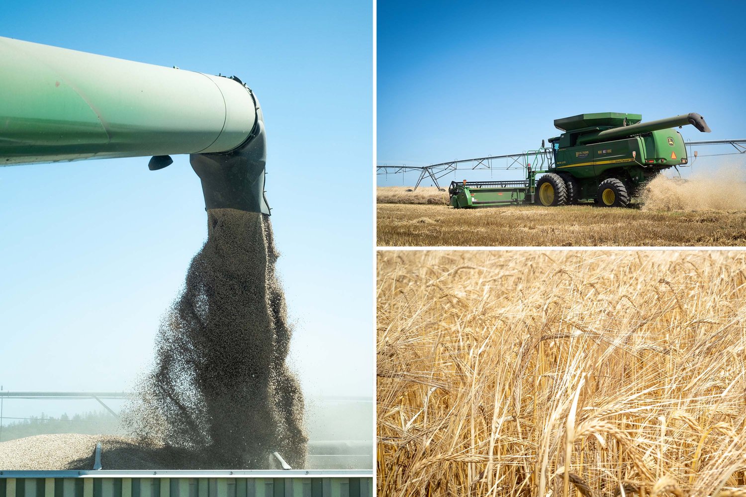 Catie Joyce-Bulay – Writer